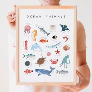 4 Educational Animal Posters, Insects Poster, Farm Animals, Safari ...