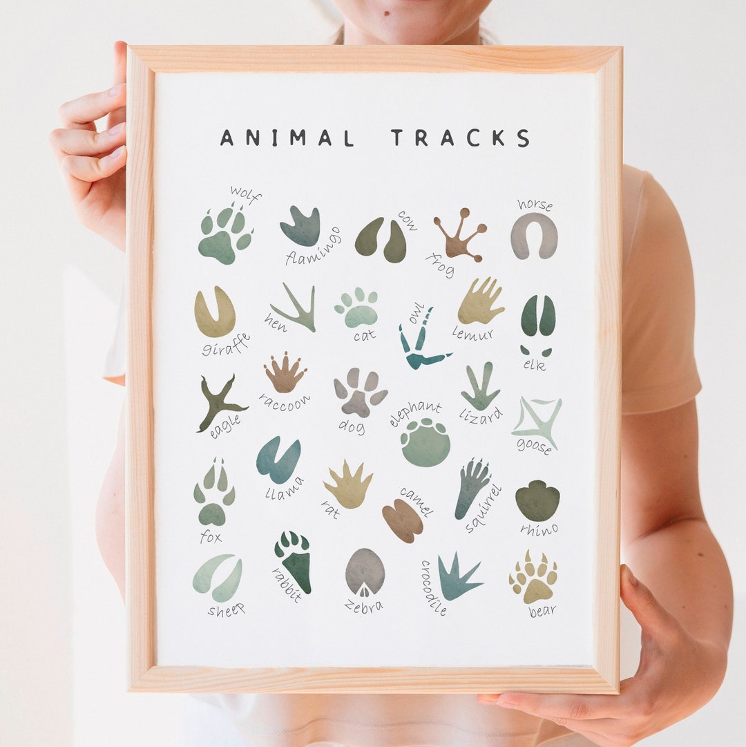Animal Tracks Poster, Earth Tones Nursery Wall Decor, Playroom Poster ...