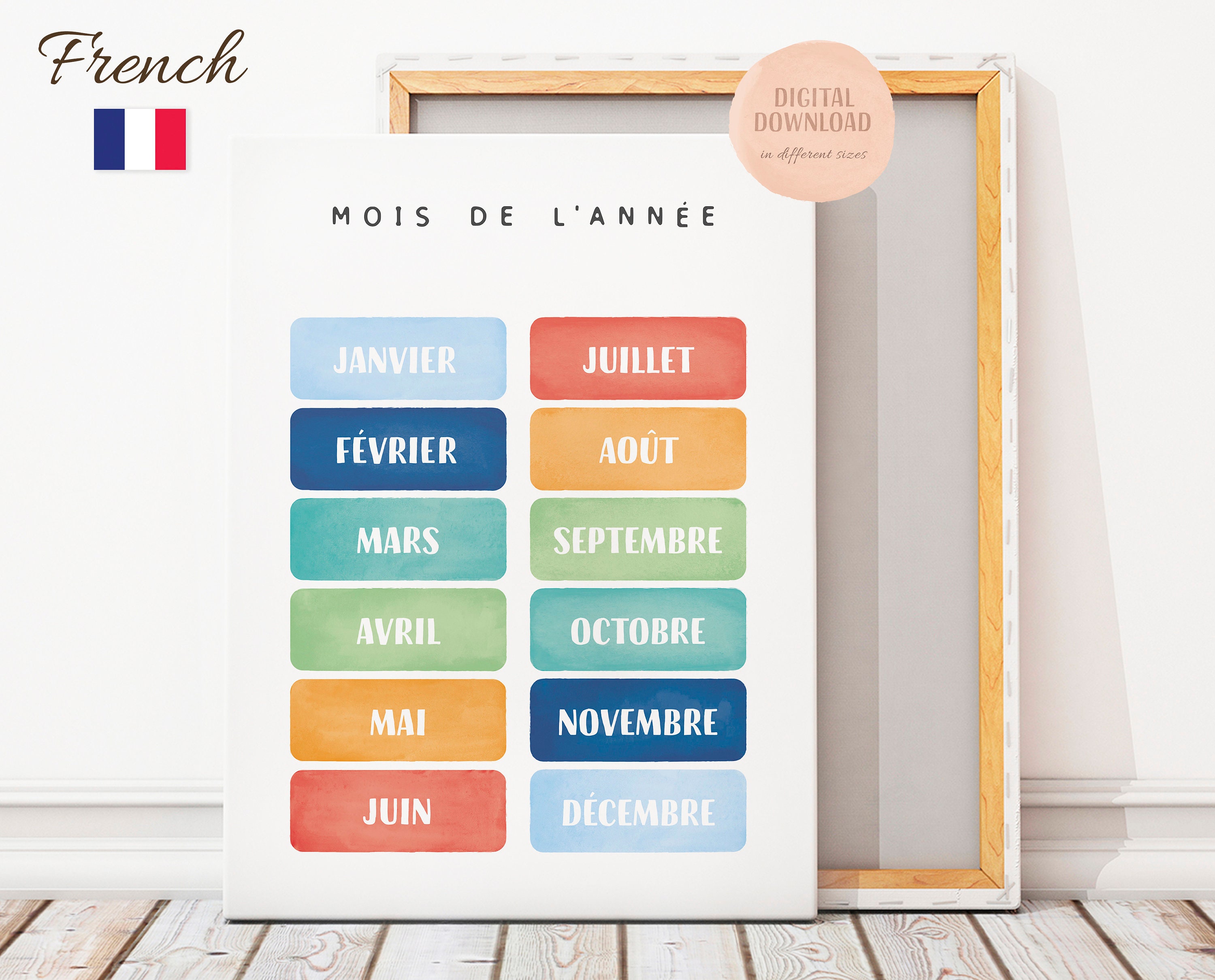 French Educational Poster, French Classroom Printables, Months of the ...