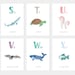 Printable Animal Alphabet Flash Cards, Classroom Decor, Toddlers ...
