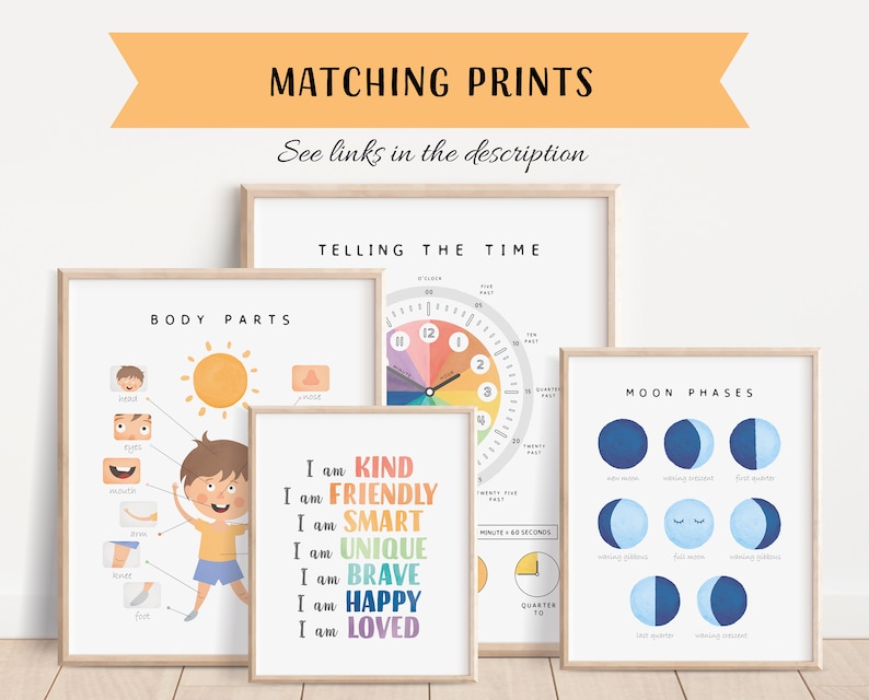 Printable Animal Alphabet Flash Cards Classroom Decor - Etsy