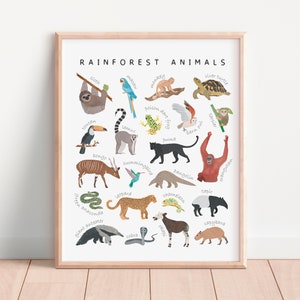 Rainforest Animals Poster, Educational Poster, Nursery Wall Decor ...