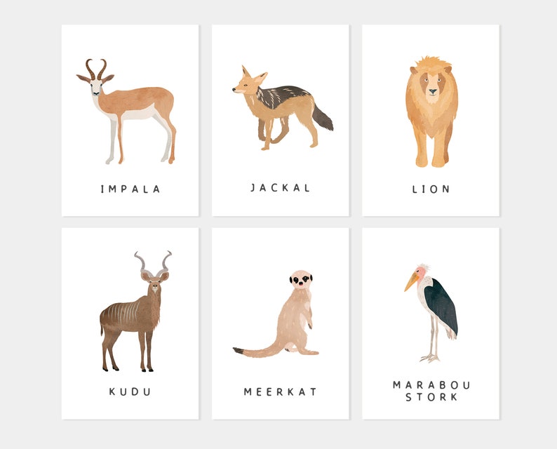 30 Safari Animals Flash Cards, Montessori Materials, Educational ...