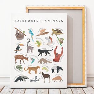 Rainforest Animals Poster, Educational Poster, Nursery Wall Decor ...