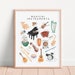 Set of Music Educational Posters, Music Theory Posters, Montessori ...