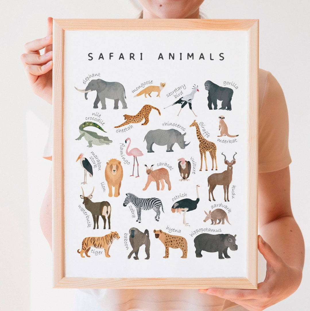 Safari Animals Poster, Educational Poster, Nursery Wall Decor, Playroom ...