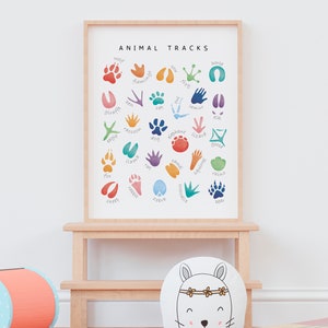 Set of 7 Educational Animal Posters, Insects, Farm Animals, Safari ...