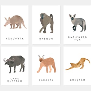 30 Safari Animals Flash Cards, Montessori Materials, Educational ...
