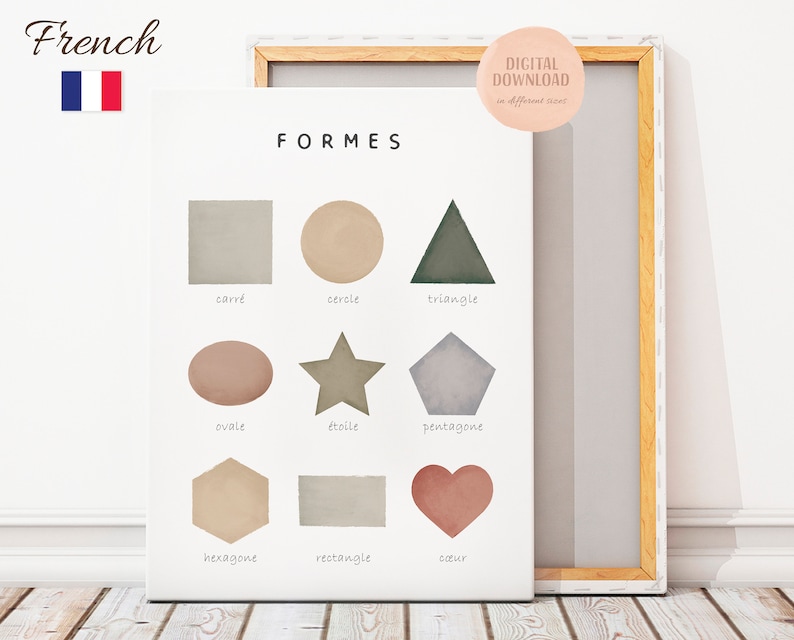 French Educational Poster French Classroom Printables Shapes - Etsy