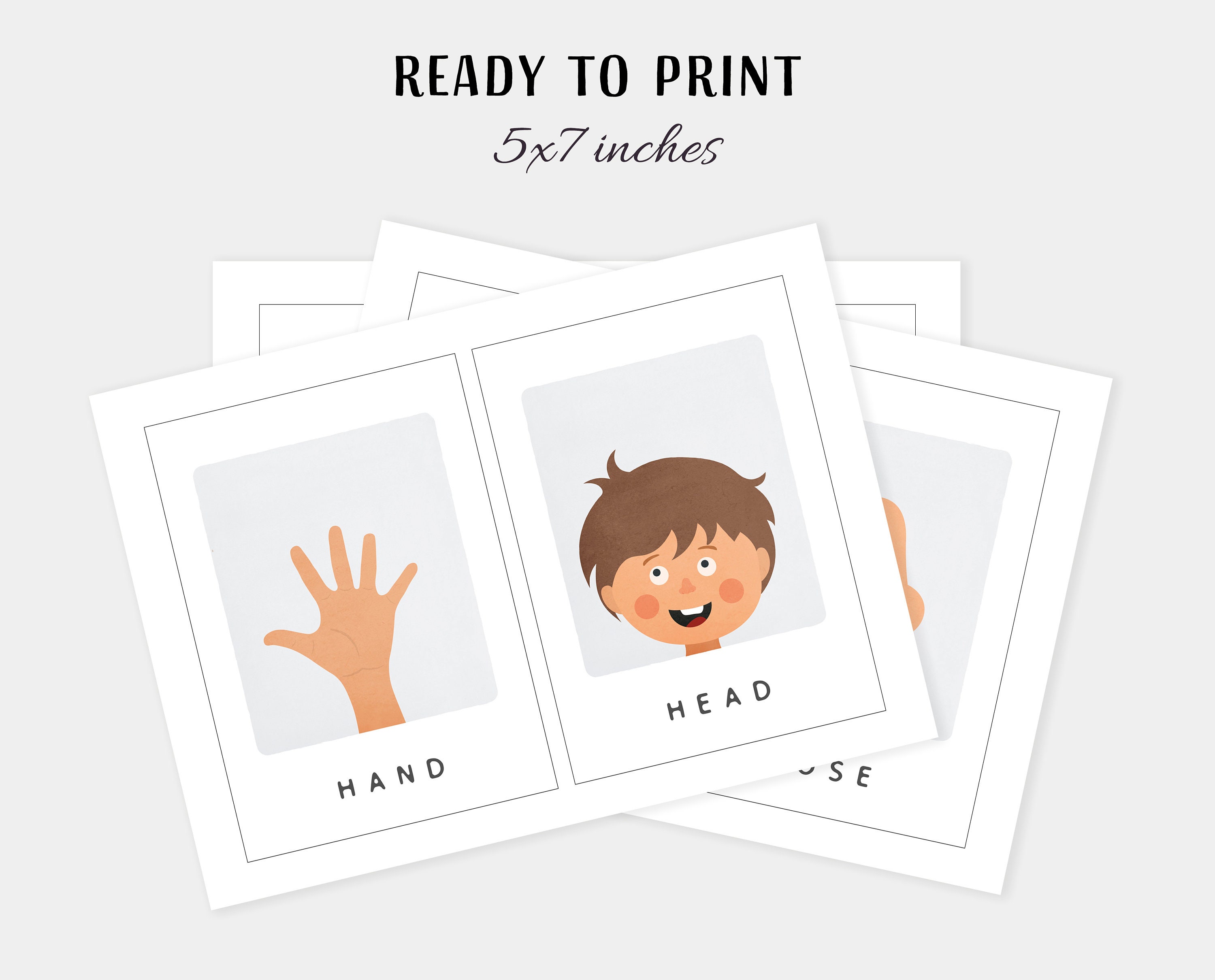 30 Body Parts Cards Montessori Flashcards Pre-school Cards - Etsy