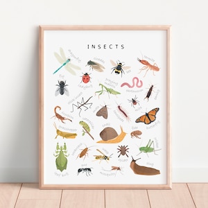 4 Educational Animal Posters, Insects Poster, Farm Animals, Safari ...