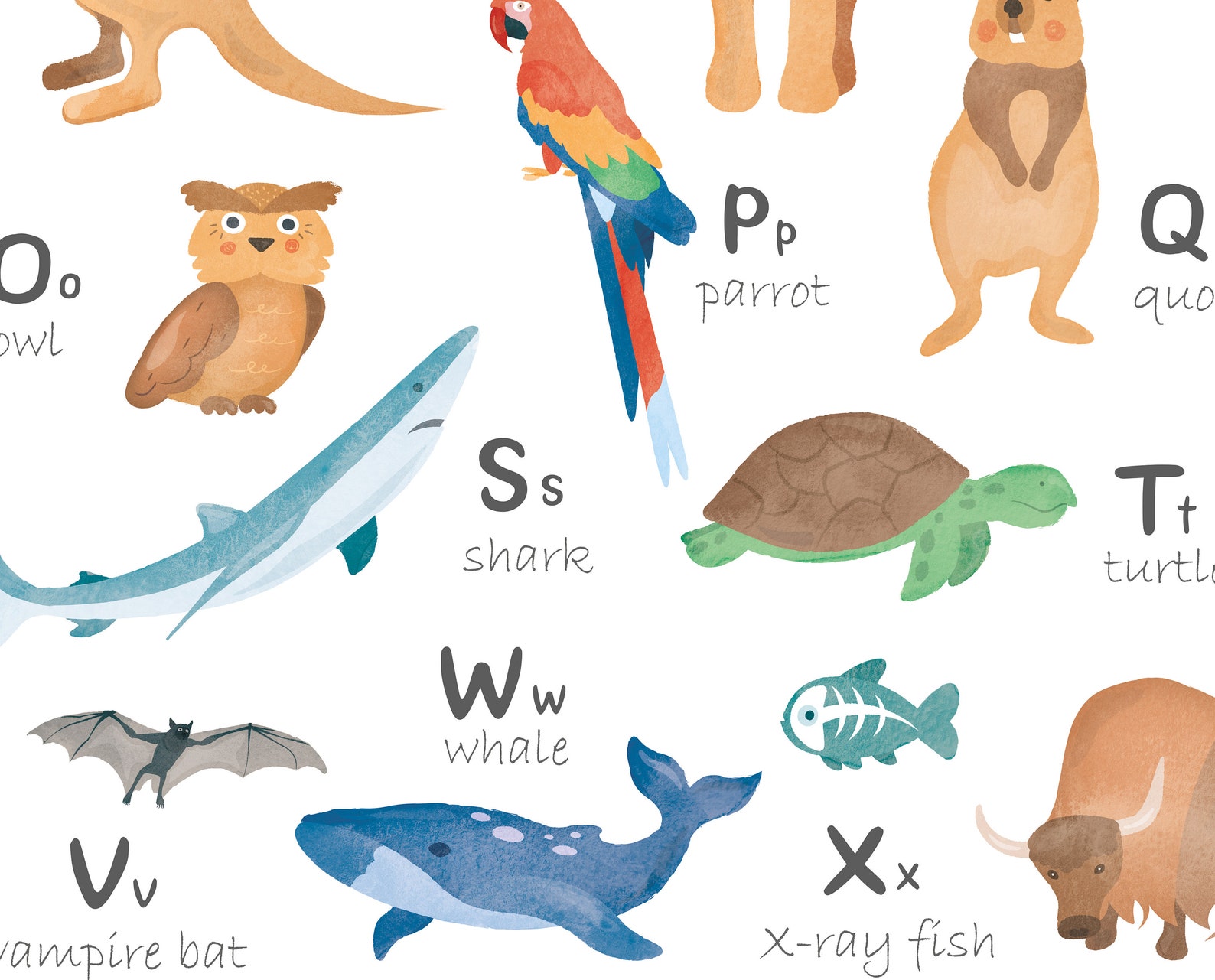Rainbow Educational Posters, 6 Homeschool Prints, Animal Alphabet ...