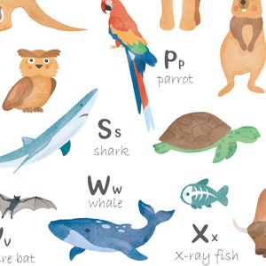 Rainbow Educational Posters, 6 Homeschool Prints, Animal Alphabet ...