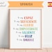 20 Feelings Flash Cards in Spanish, Emotions Chart, Montessori ...
