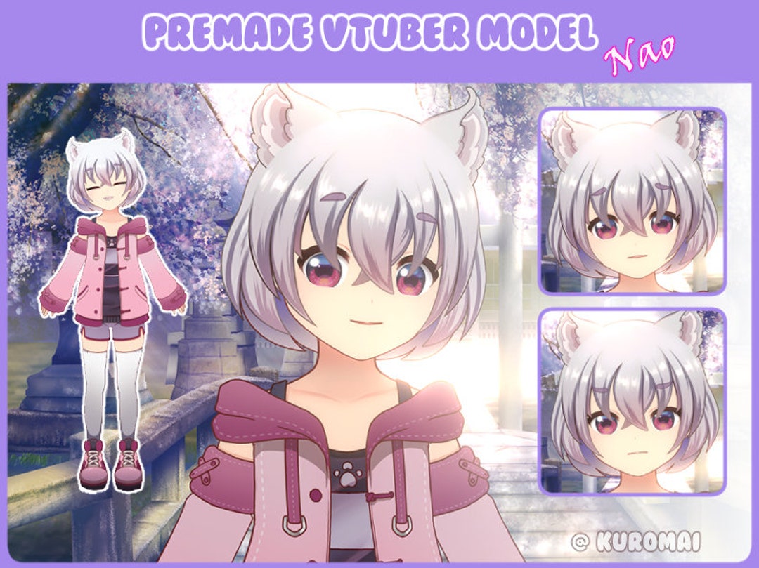 Premade Live2d Vtuber Model Cute Girl - 2 Expressions - Etsy