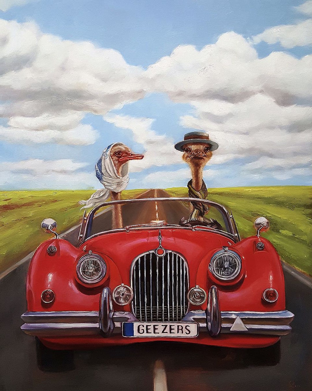 Geezers by Lucia Heffernan Art Print - Optical Animal Wall Decor, Cat ...