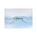 Journey by Patrick Hunter Indigenous Art Print, First Nations, Ojibway ...