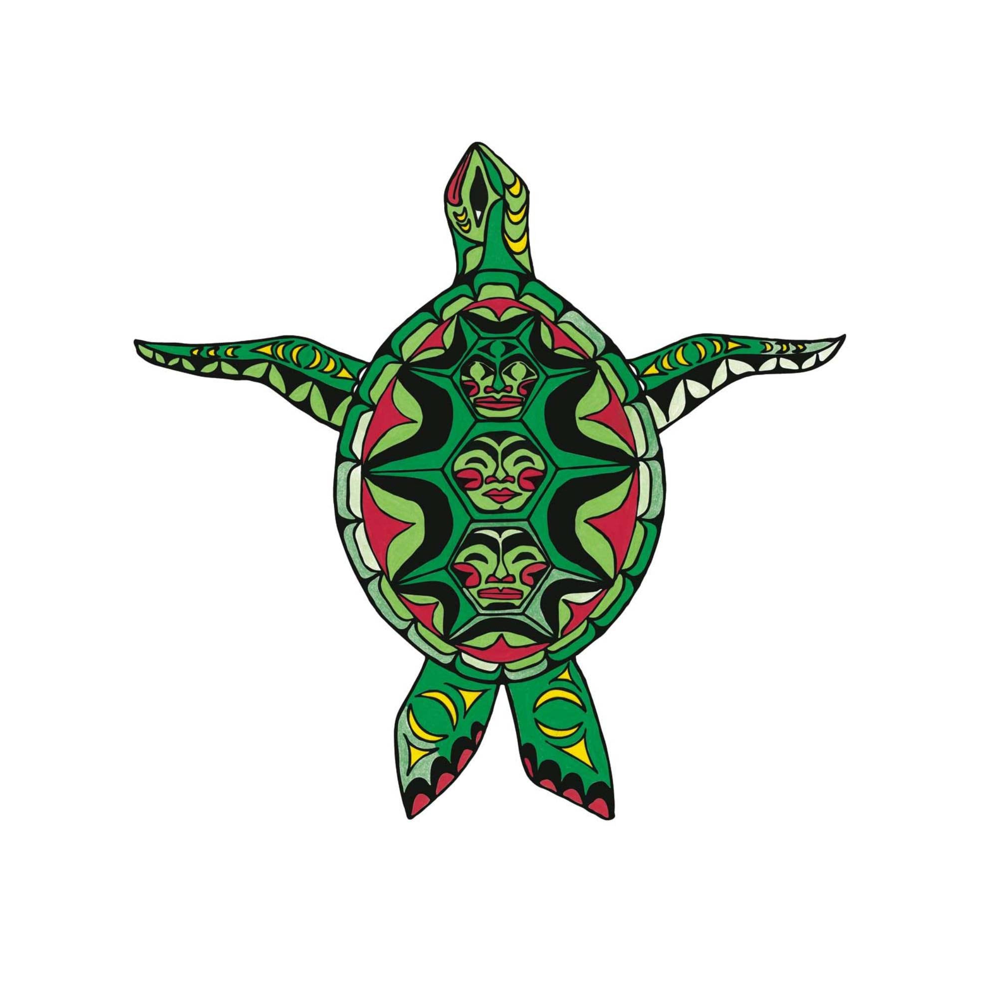 Native American Turtle Drawings