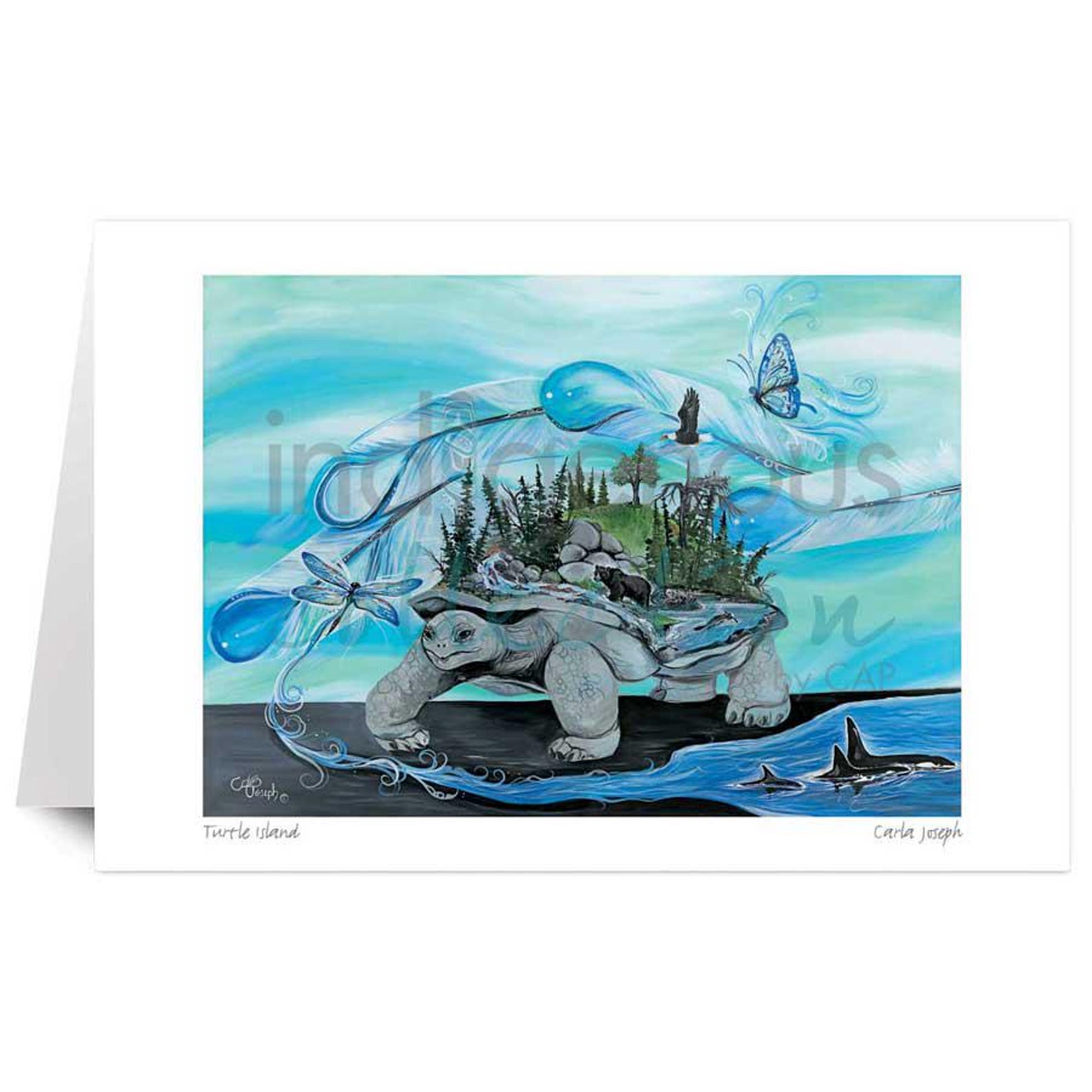 Turtle Island by Cree Artist Carla Joseph, Indigenous Art Print, Framed ...