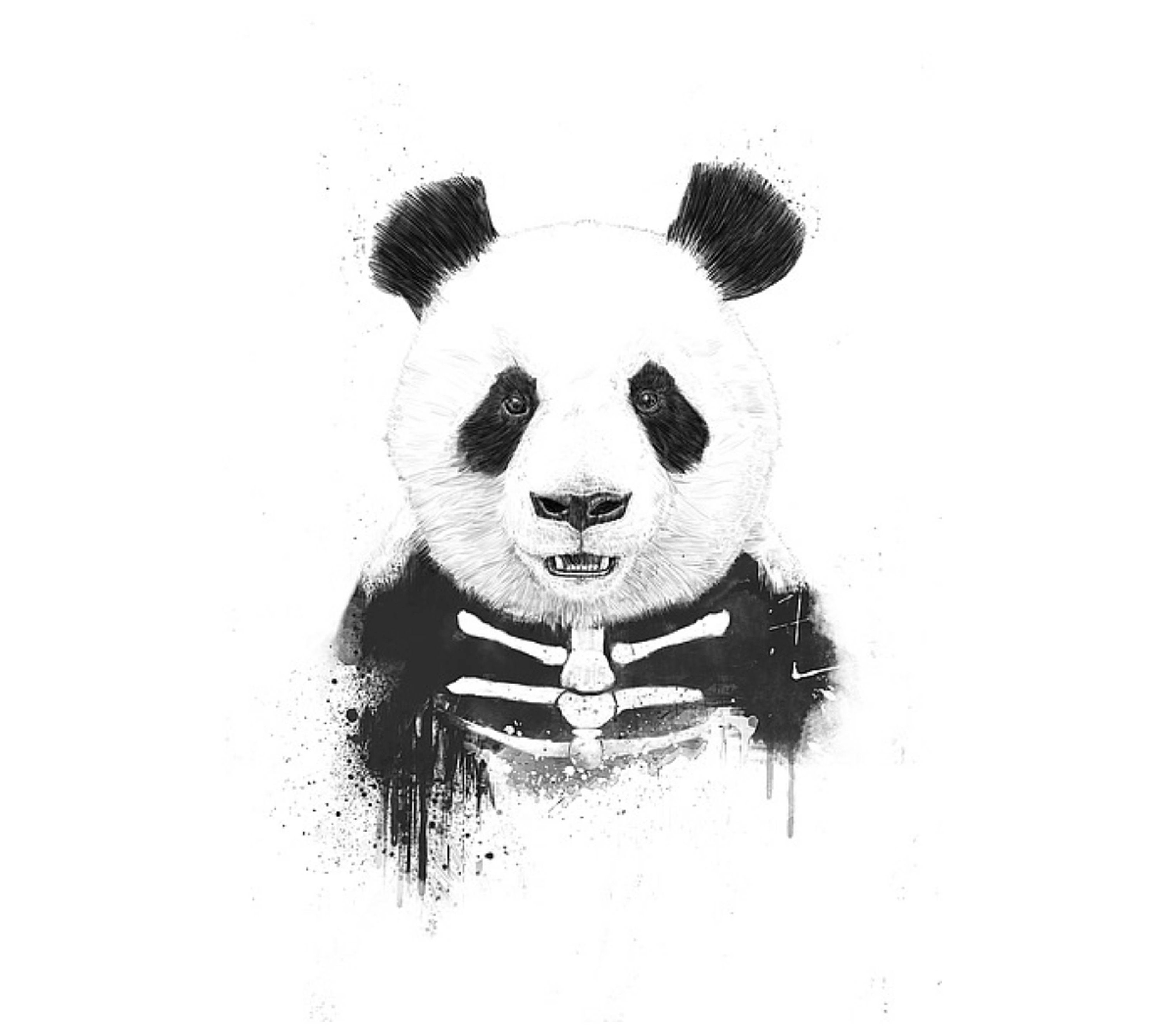 Zombie Panda Drawing