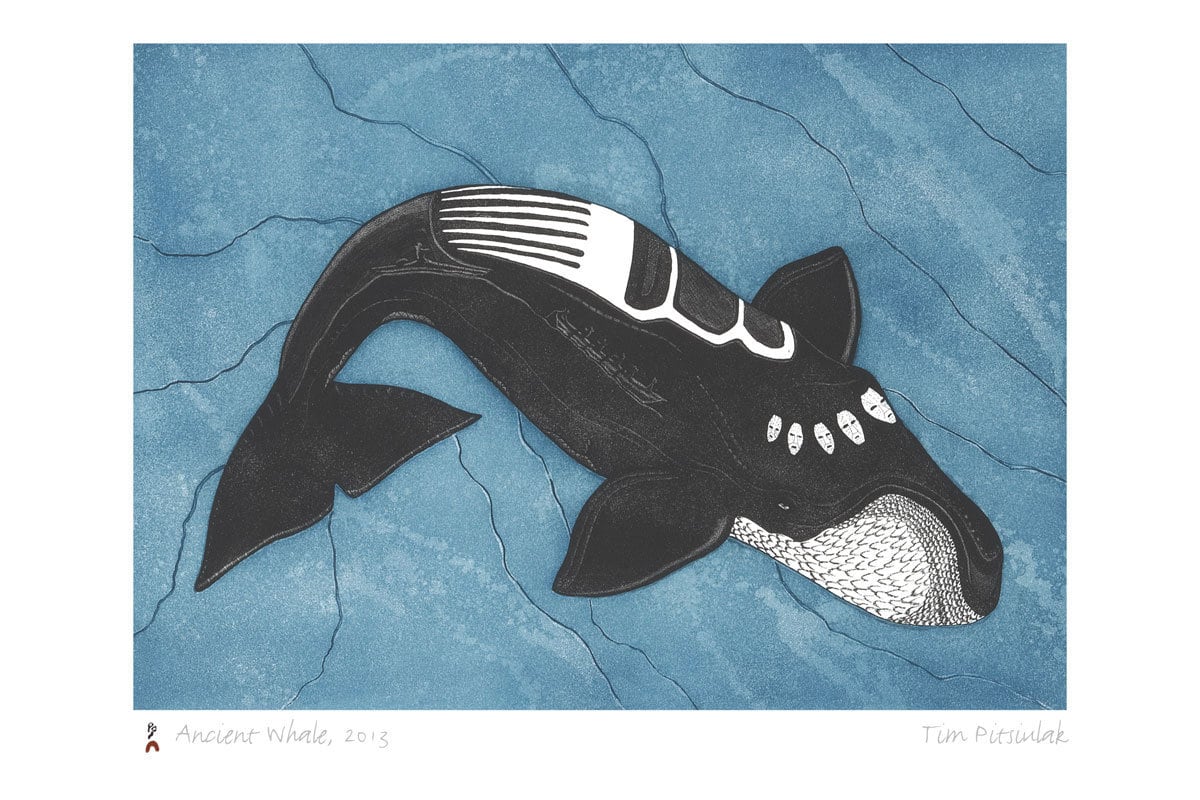 Ancient Whale, 2013 by Tim Pitsiulak, Indigenous Art Card, Cape Dorset ...