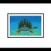 Turtle Island by Patrick Hunter Indigenous Art Print, First Nations ...