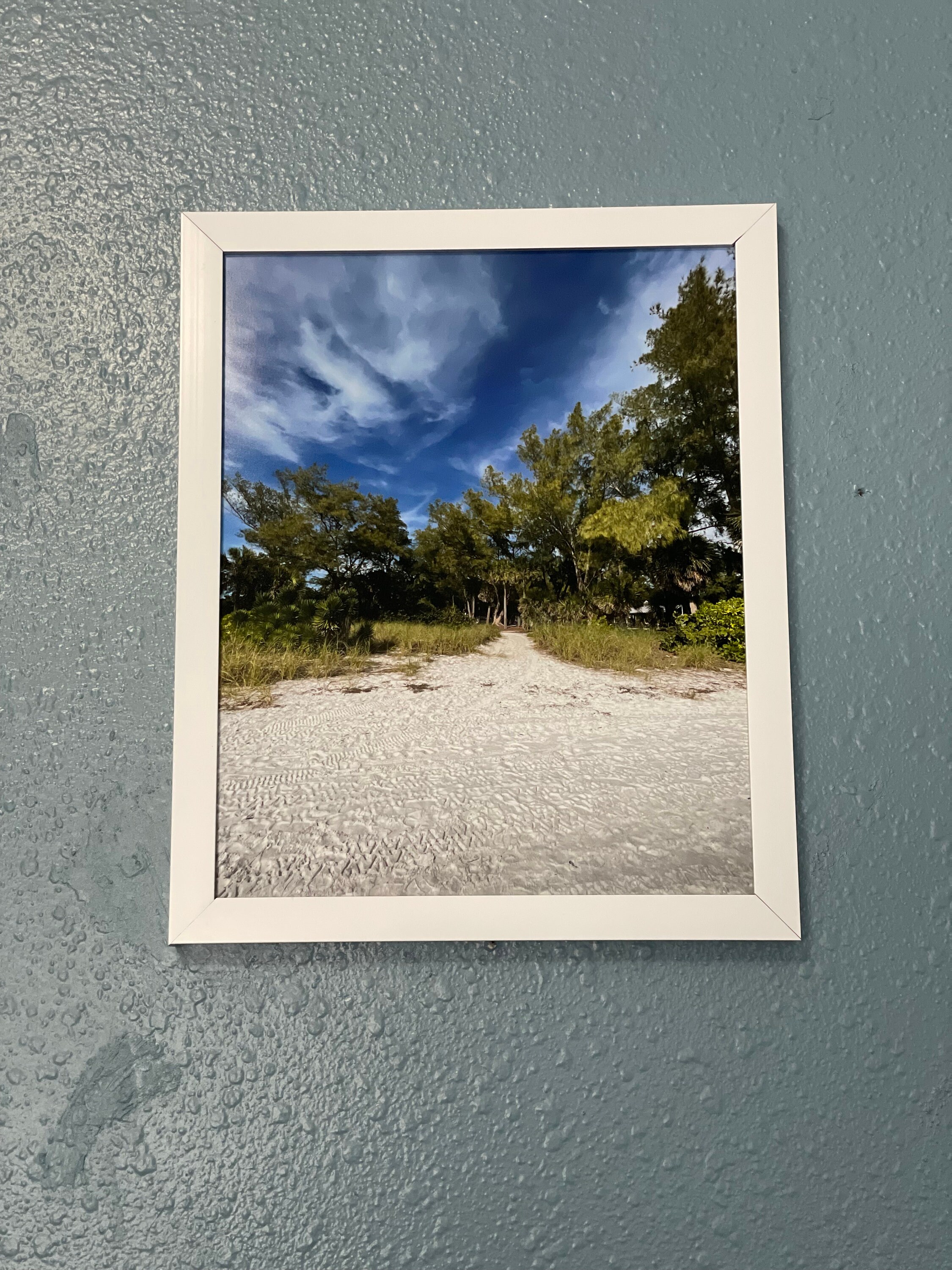 Beach Path at Coquina Beach Park - Etsy