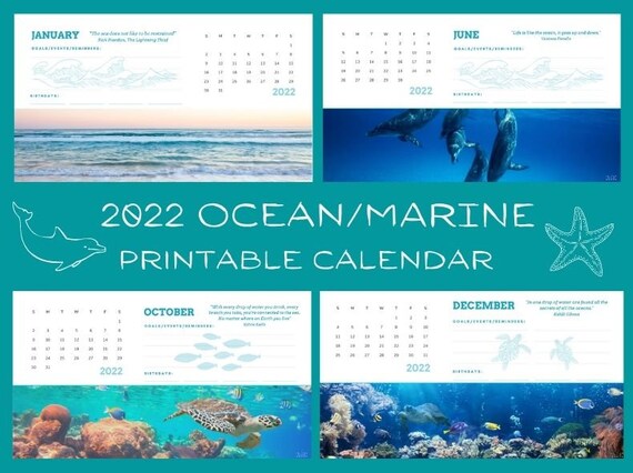PRINTABLE Calendar 2022 Instant Download Ocean Life/scuba | Etsy