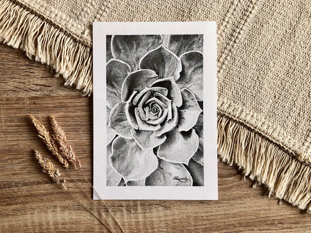 Echeveria Succulent Print, Plant Illustration, Pointillism Drawing ...