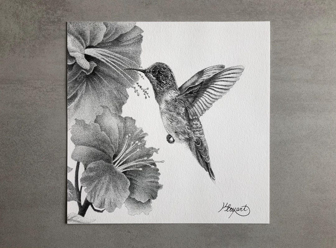 Wings Flapping Original Drawing, Hummingbird and Flower Illustration ...