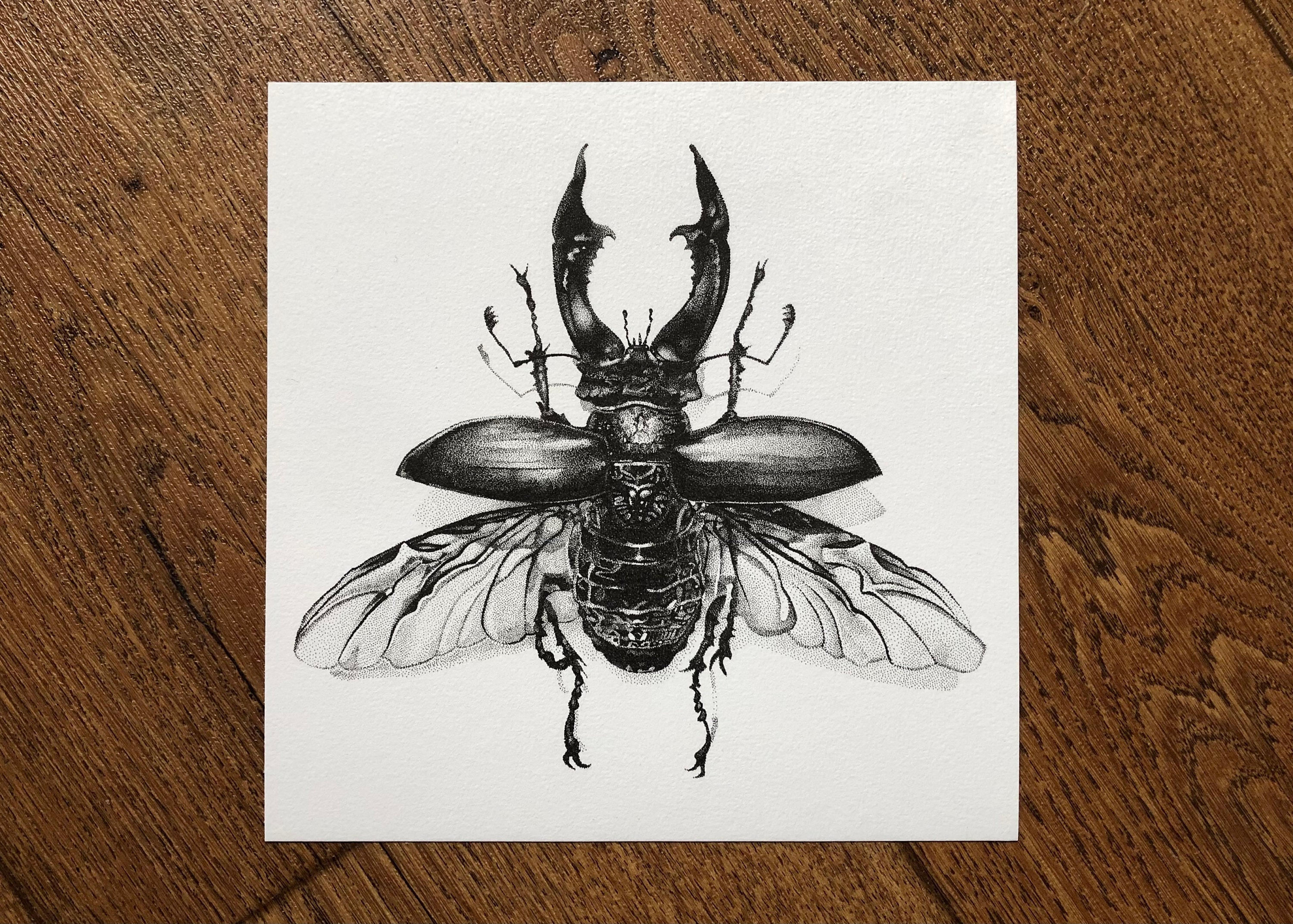 Stag Beetle Print, Handmade Insect Illustration in Pointillism, Black ...