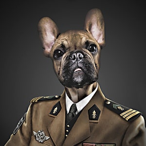 Custom Pet Portrait, Soldier Dog Portrait, General Pet, Personalized ...