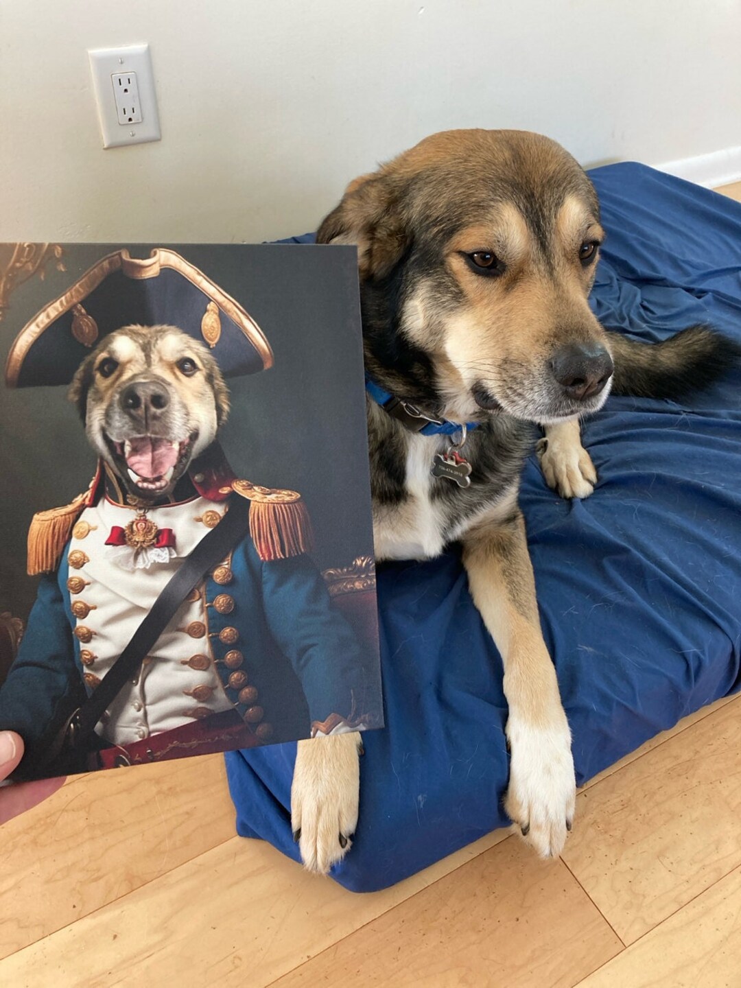 Napoleon Custom Pet Portrait, Custom Royal Pet Portrait, Royal Pet ...