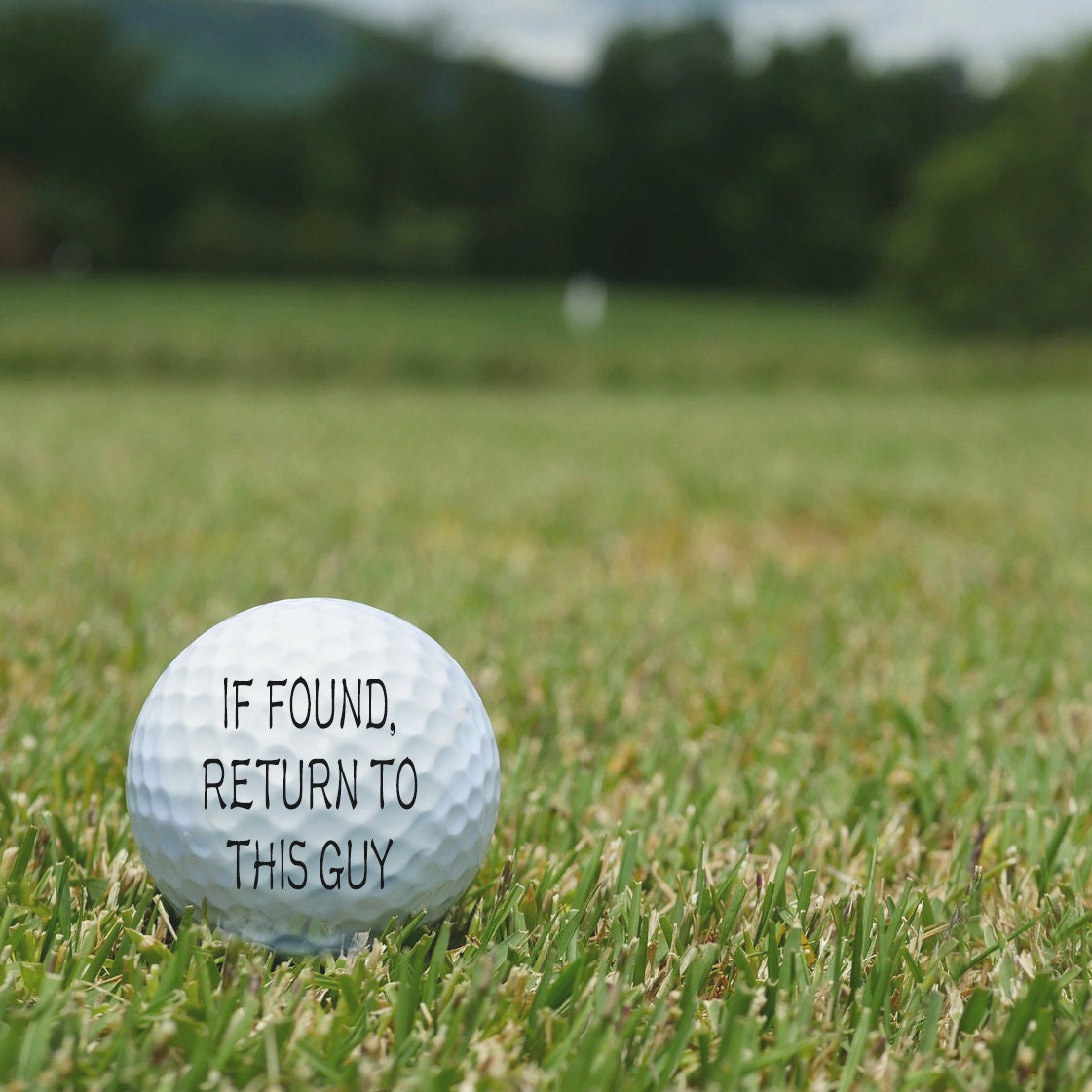 Portrait on Golf Ball, Portrait From Photo, Funny Golf Balls ...