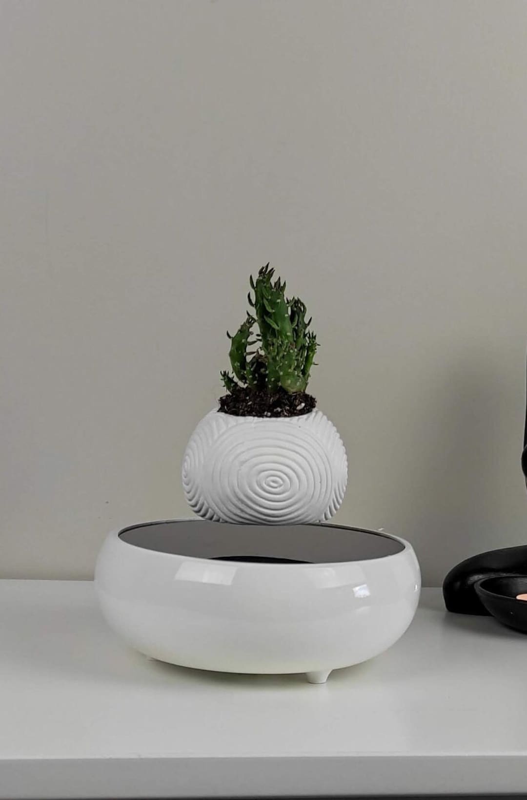 Flying Plant Pot - Floating Plant Pot - Levitating Plant Pot ...