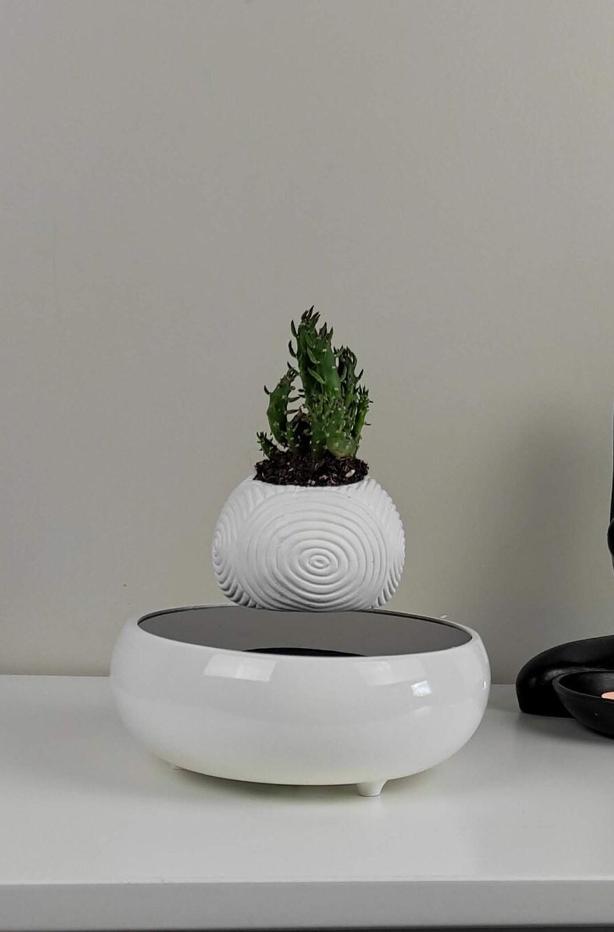 Flying Plant Pot - Floating Plant Pot - Levitating Plant Pot ...