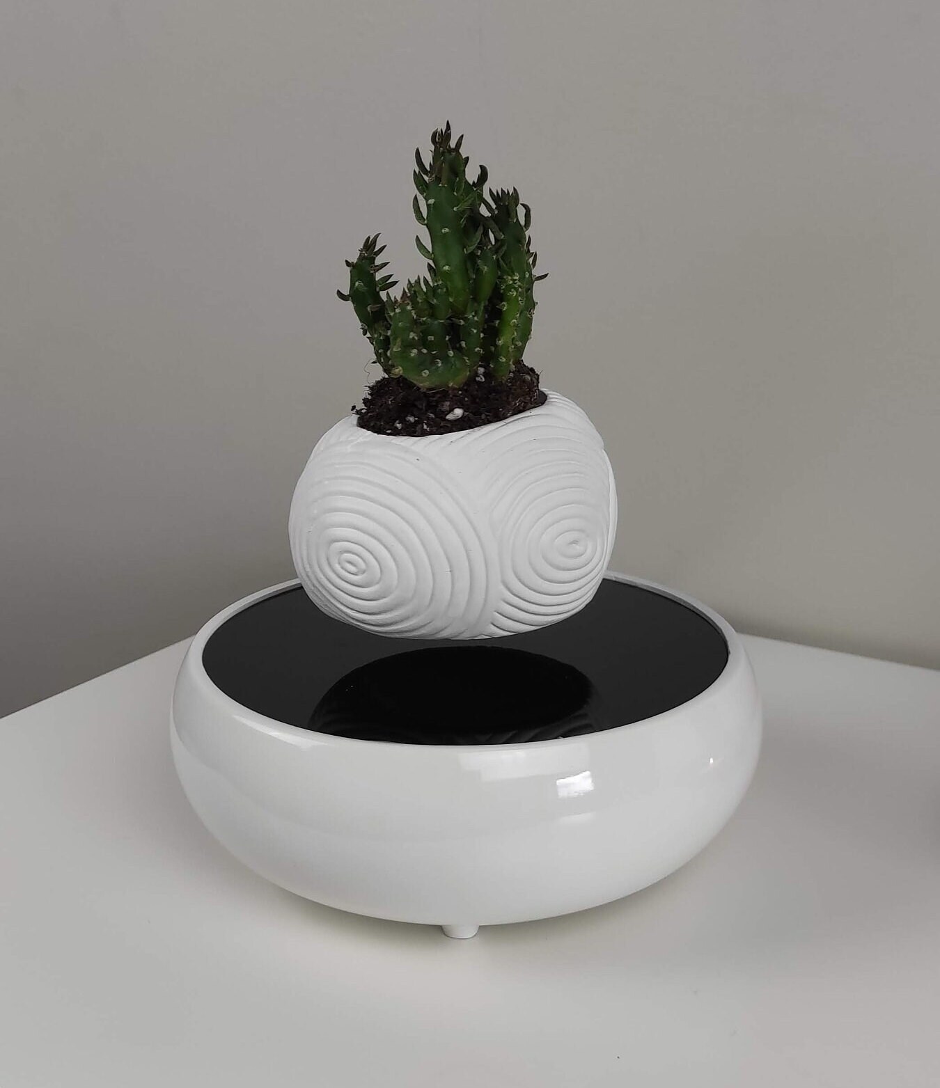 Flying Plant Pot - Floating Plant Pot - Levitating Plant Pot ...