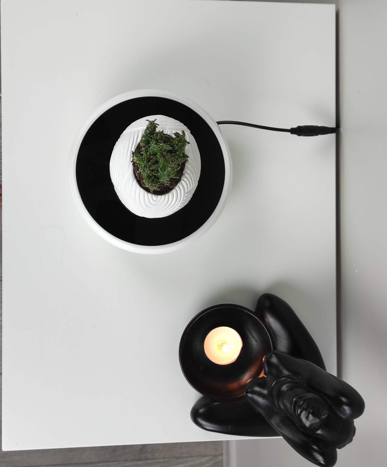 Flying Plant Pot - Floating Plant Pot - Levitating Plant Pot ...