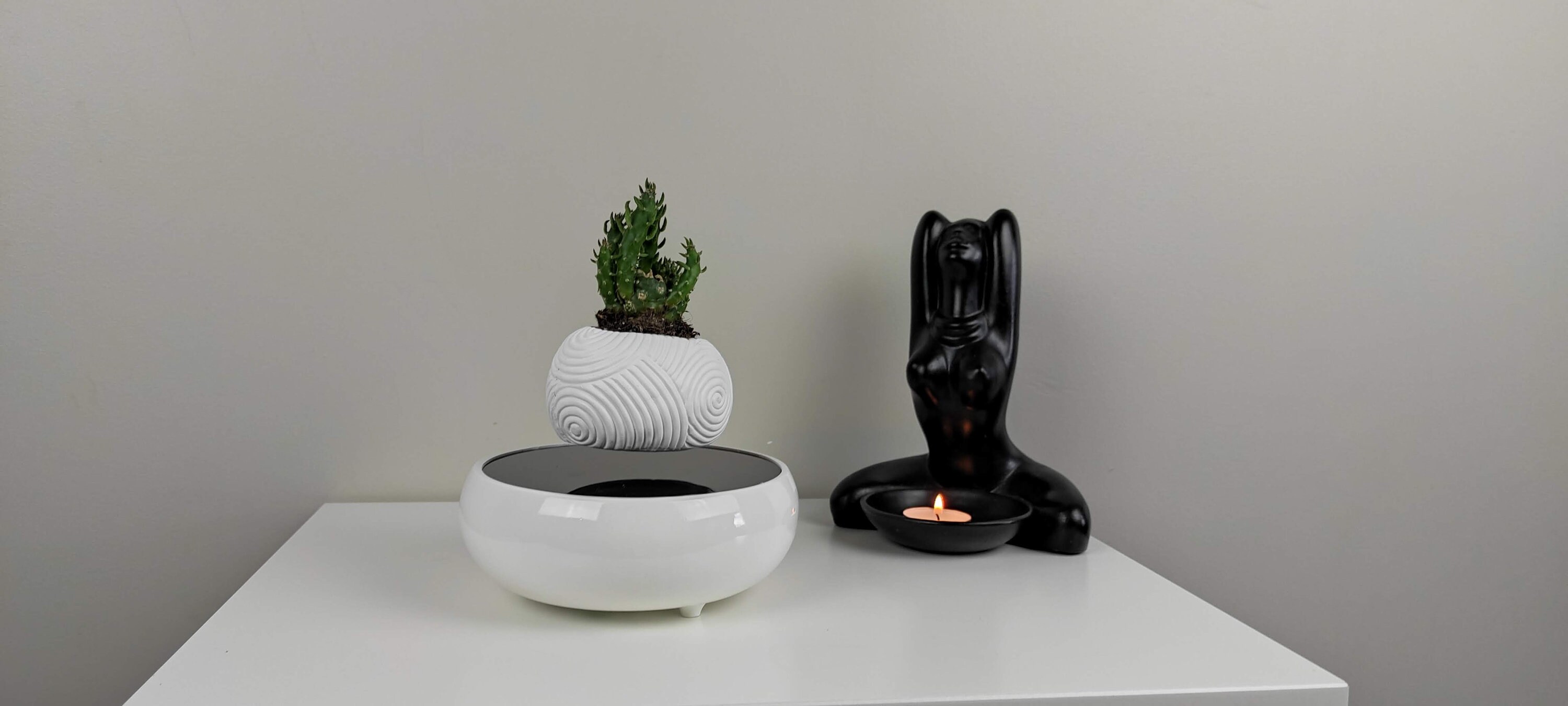 Flying Plant Pot - Floating Plant Pot - Levitating Plant Pot ...