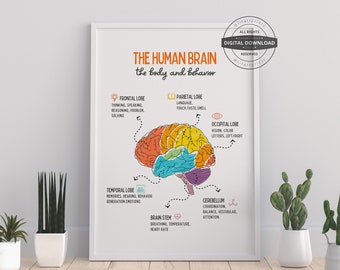 The Human Brain Poster, Brain Anatomy & Psychology, Mental Health ...