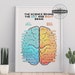 Human Brain Poster | Left Right Brain Science Anatomy Psychology ...