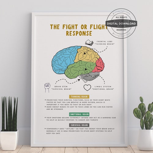 Fight or Flight Response Brain Anatomy Psychology Therapy - Etsy Australia