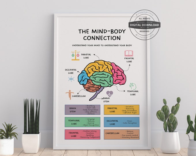 The Human Brain Poster, Brain Anatomy & Psychology, Mental Health ...