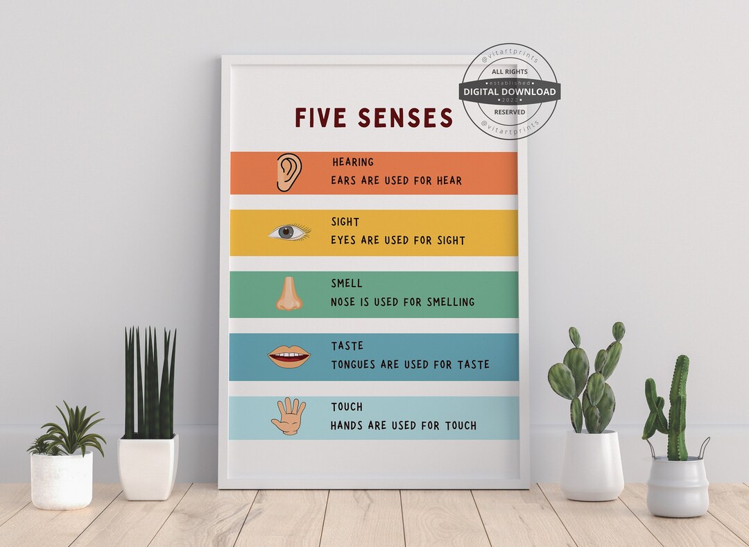 Five Senses | Office Decor, Therapy Office, School Counselor, CBT DBT ...