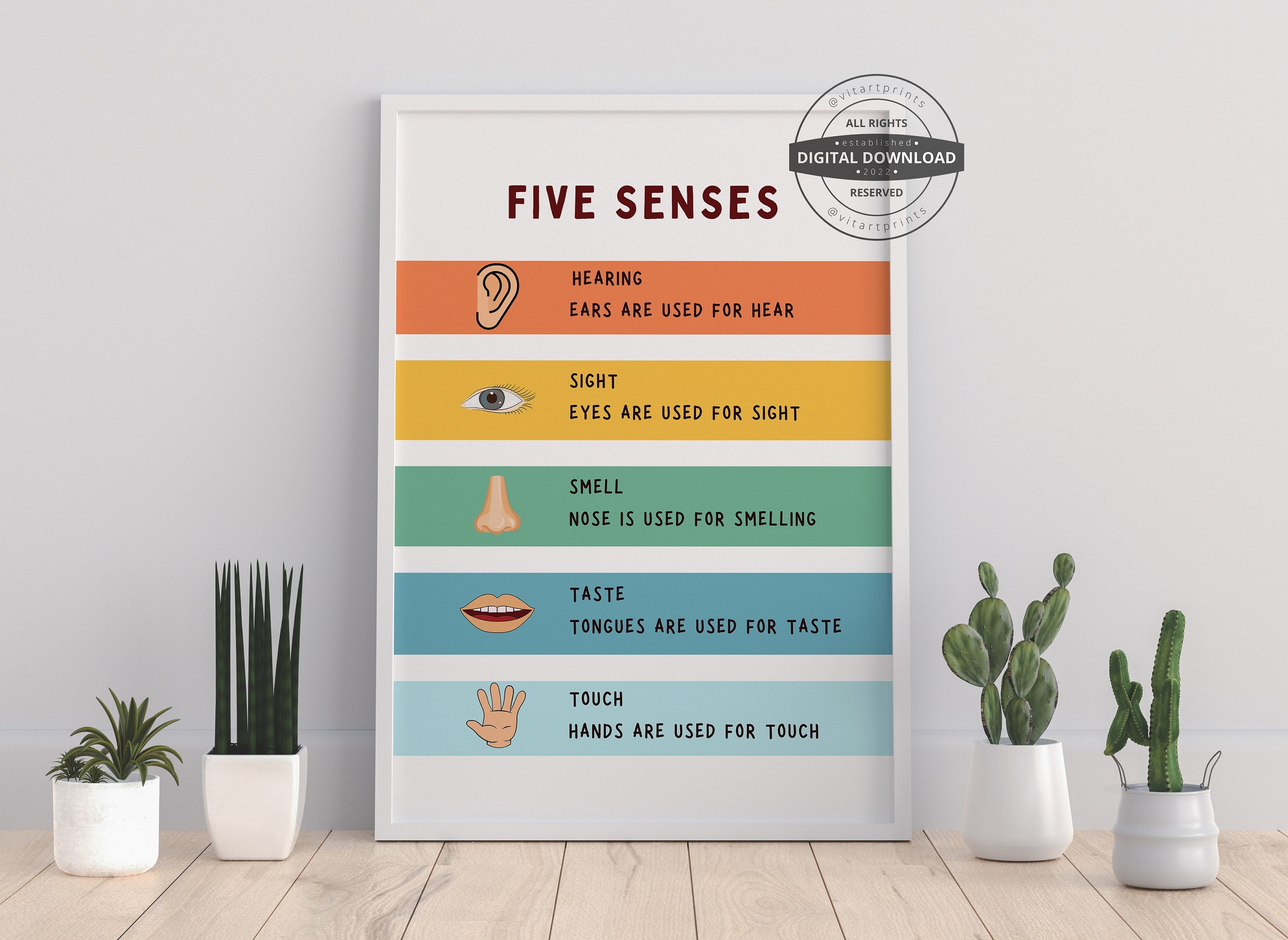 Five Senses Office Decor, Therapy Office, School Counselor, CBT DBT ...