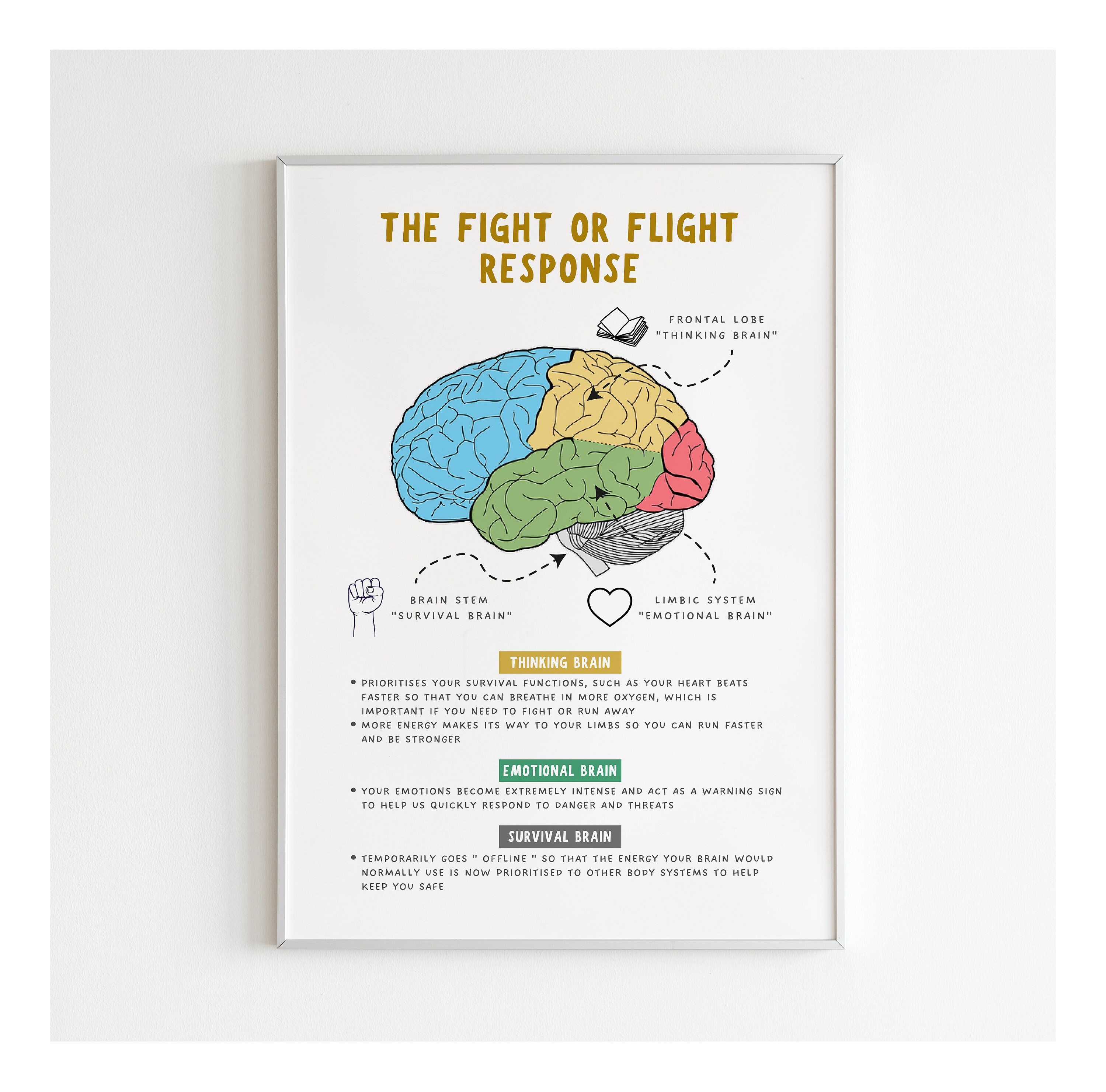 Fight or Flight Response Brain Anatomy Psychology Therapy - Etsy UK
