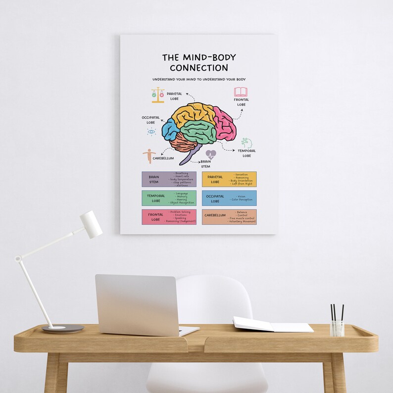 The Human Brain Poster Brain Anatomy, Mind Psychology, Therapy Office ...