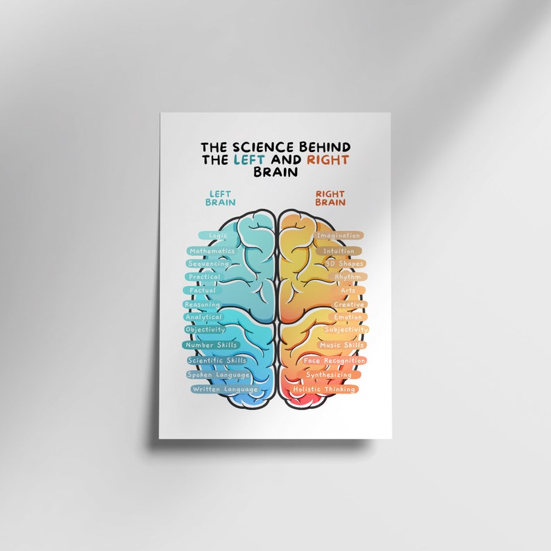 Human Brain Poster Left Right Brain Science Anatomy Psychology Therapy ...