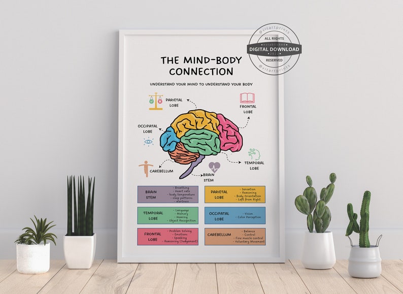 The Human Brain Poster Brain Anatomy Mind Psychology - Etsy