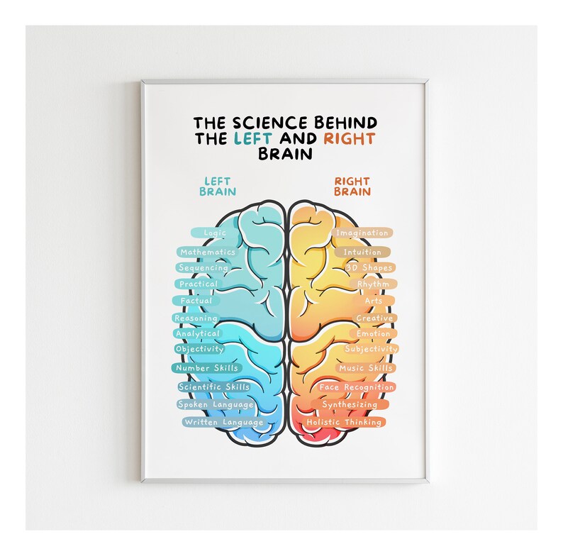 Human Brain Poster Left Right Brain Science Anatomy Psychology Therapy ...